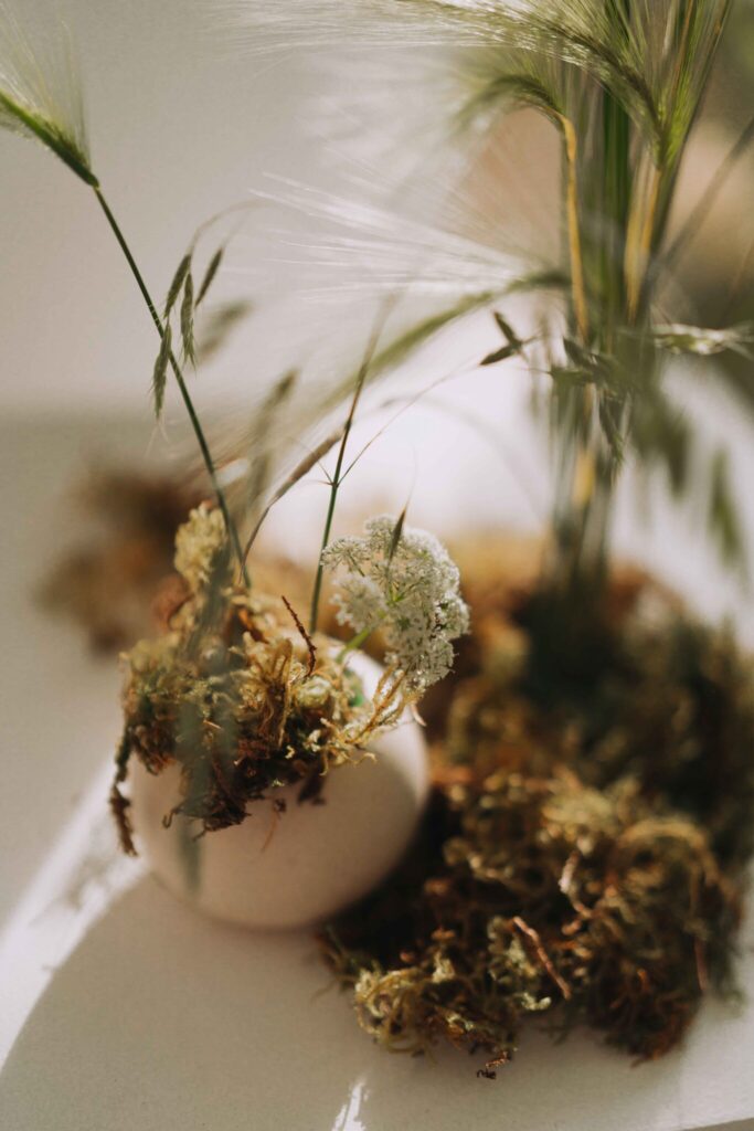 Green day: fresh, clean décor ideas - Today's Bride