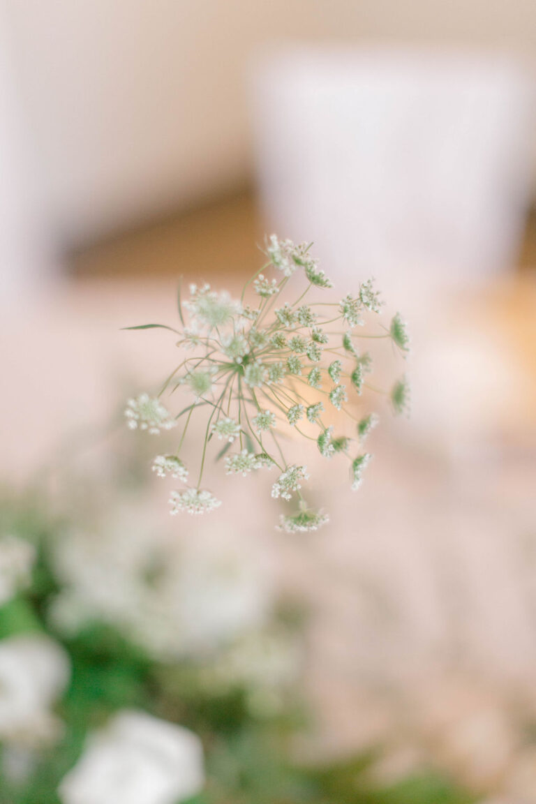 Clean & elegant: inspiration for timeless wedding décor - Today's Bride