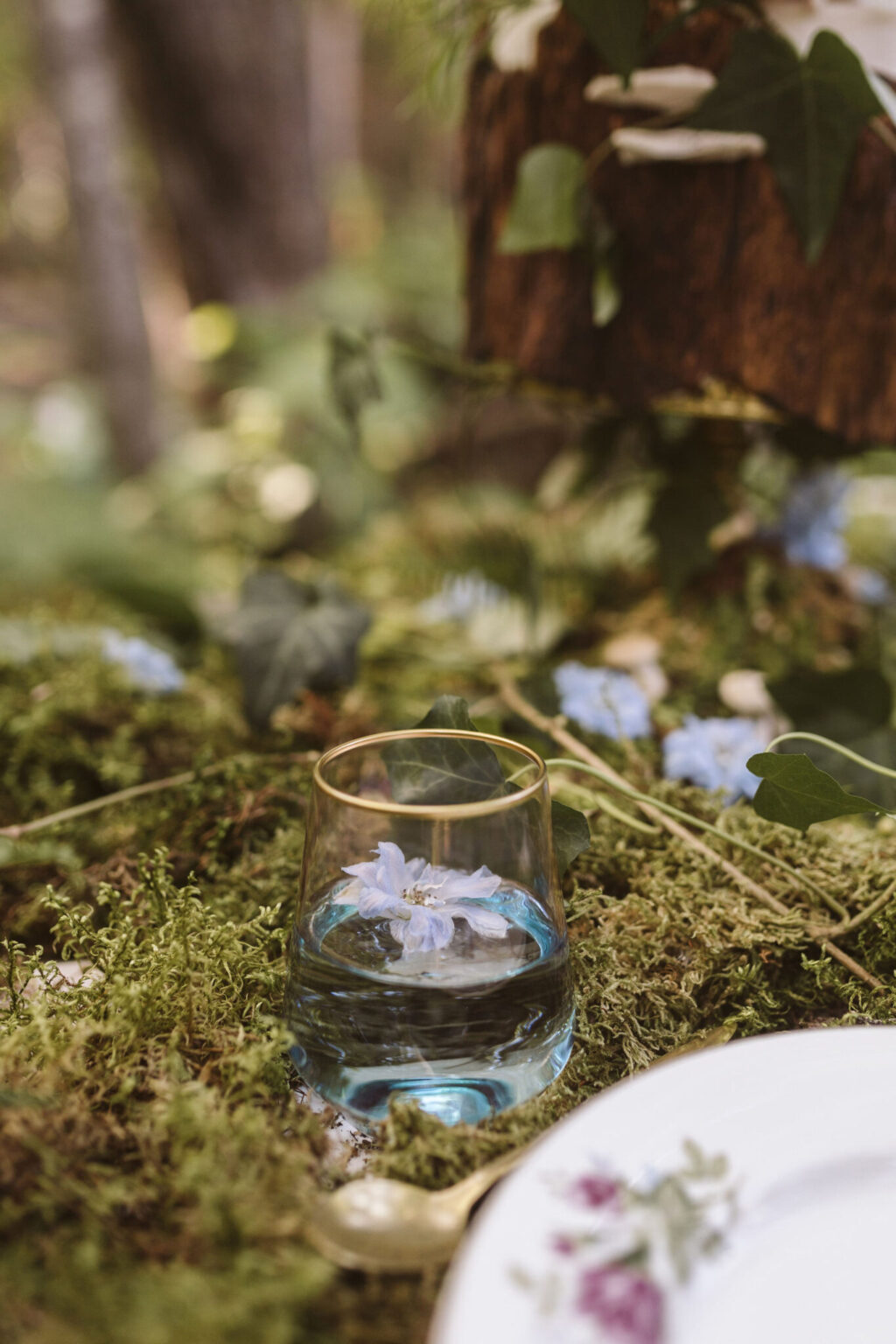 Enchanted forest: fairy tale wedding inspiration - Today's Bride